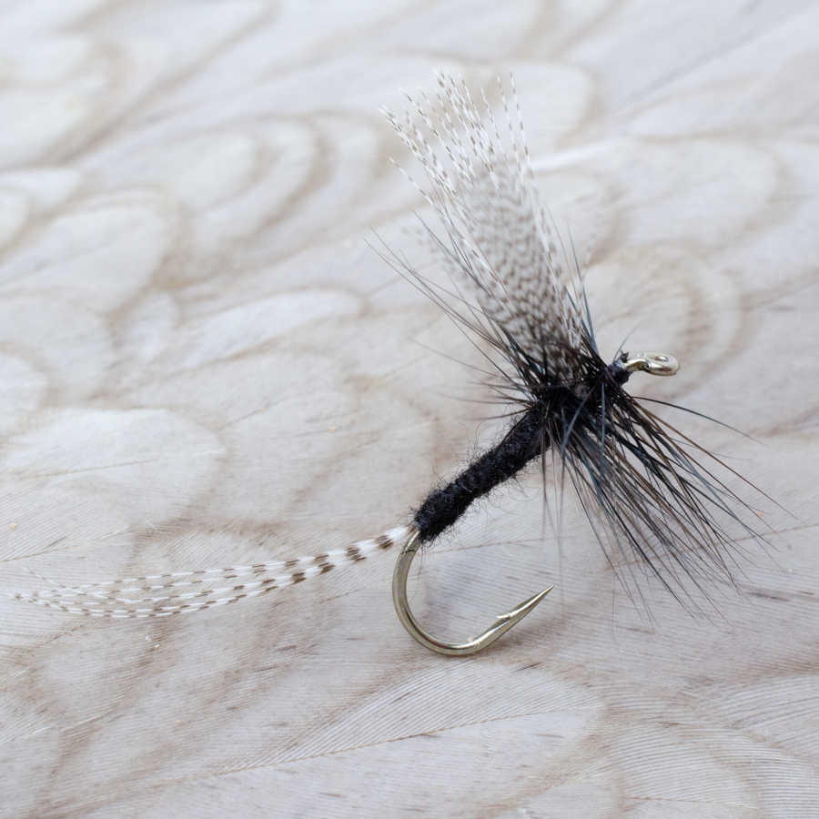 Special Black Gnat – Dette Flies