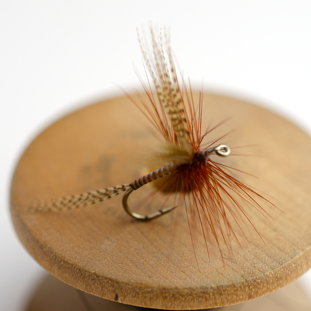 Cahill Quill – Dette Flies