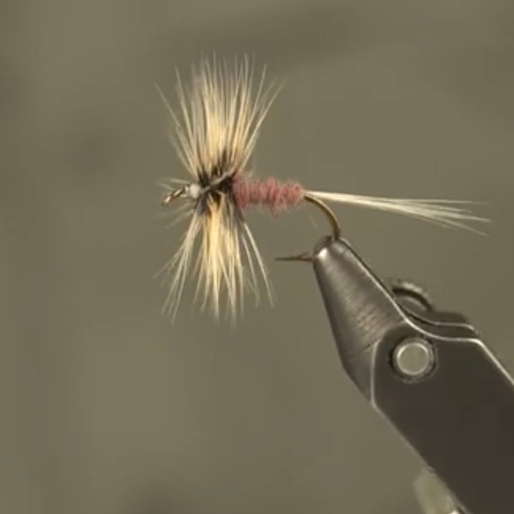 Conover – Dette Flies