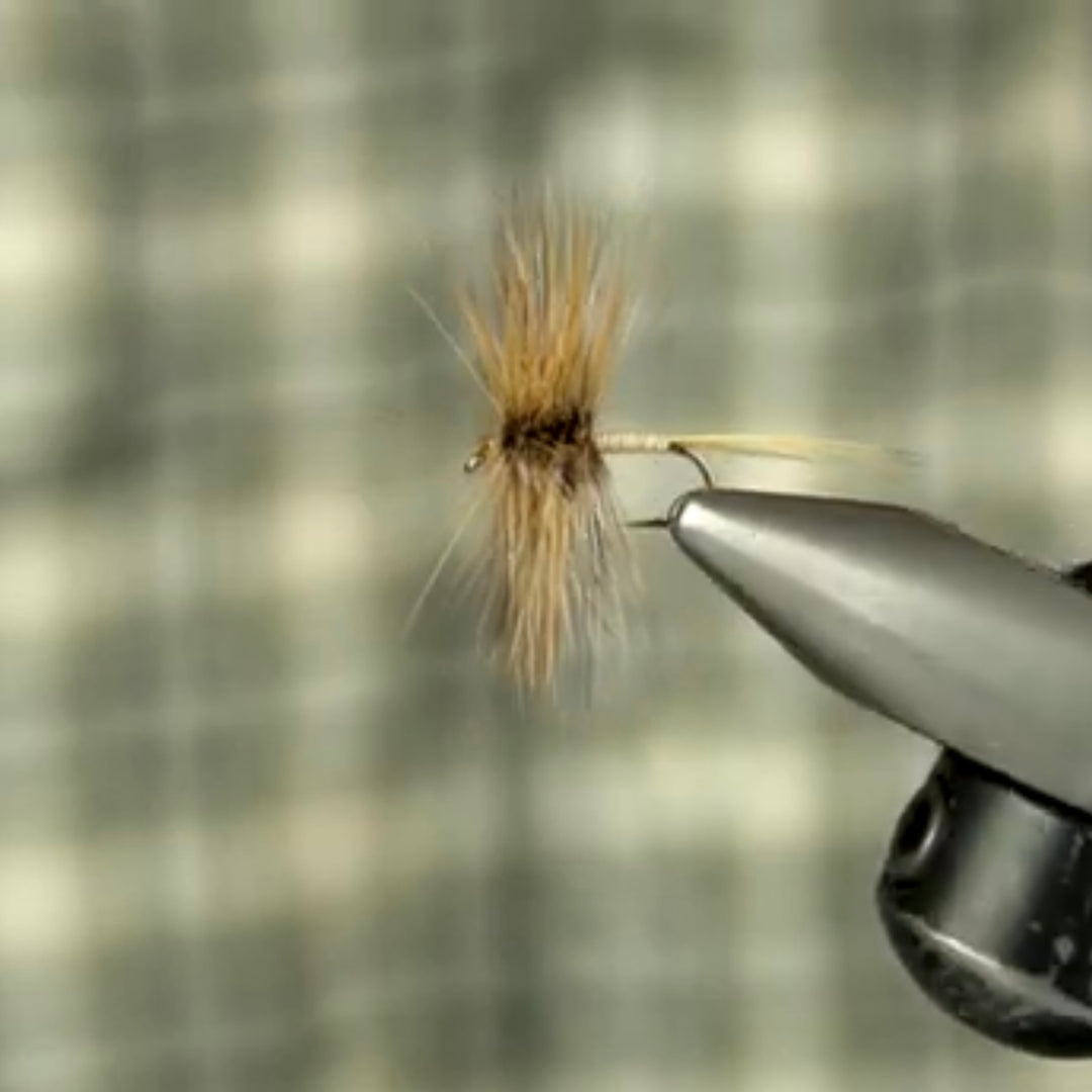 Gray Fox Variant – Dette Flies