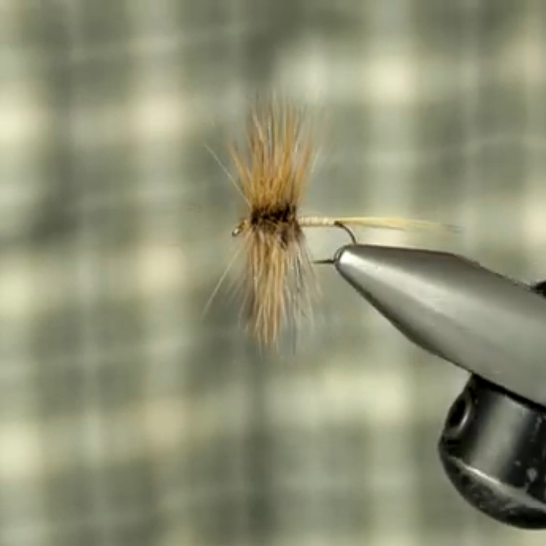 Gray Fox Variant – Dette Flies