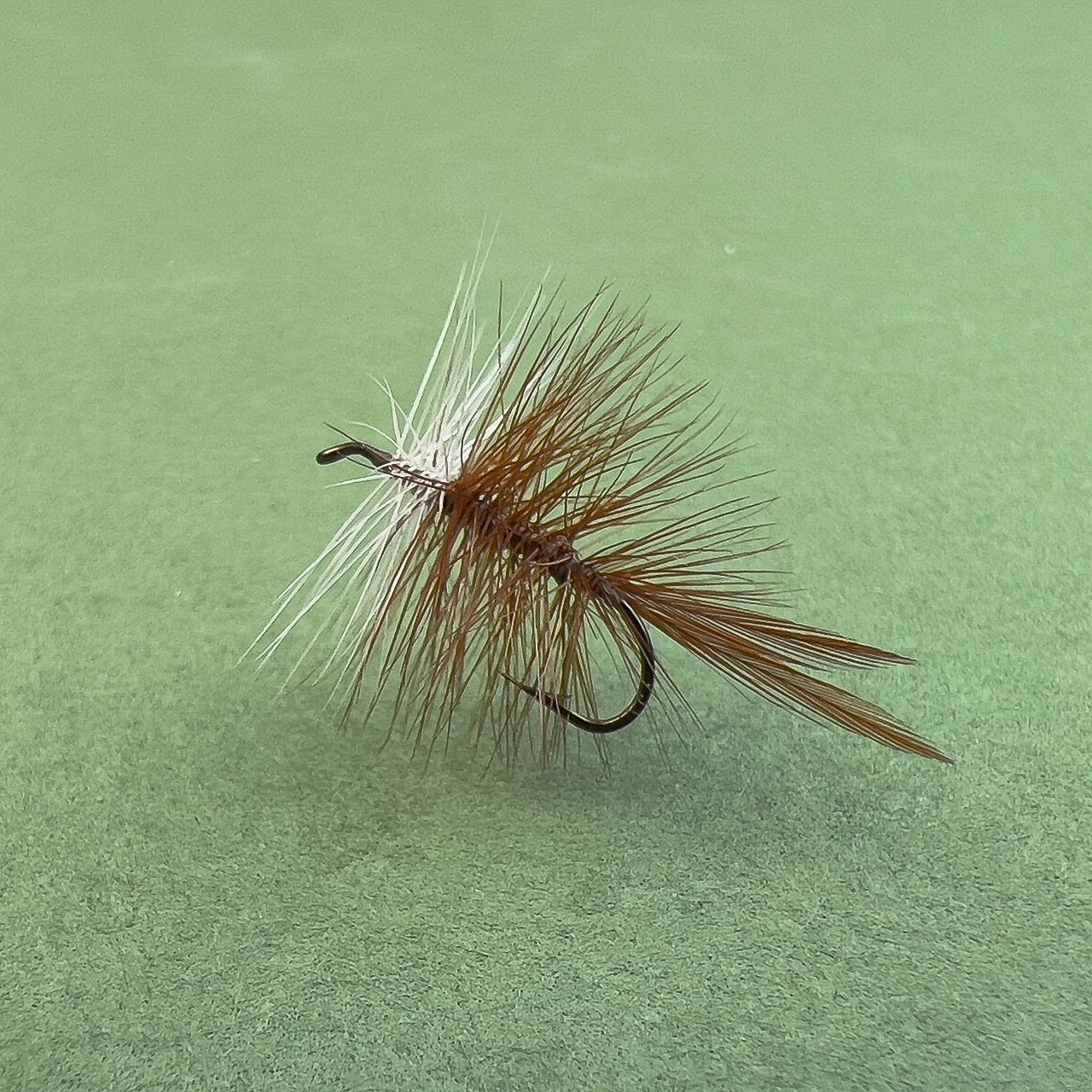 Bi-Visible – Dette Flies
