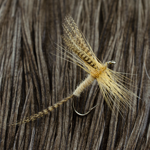 Light Cahill – Dette Flies