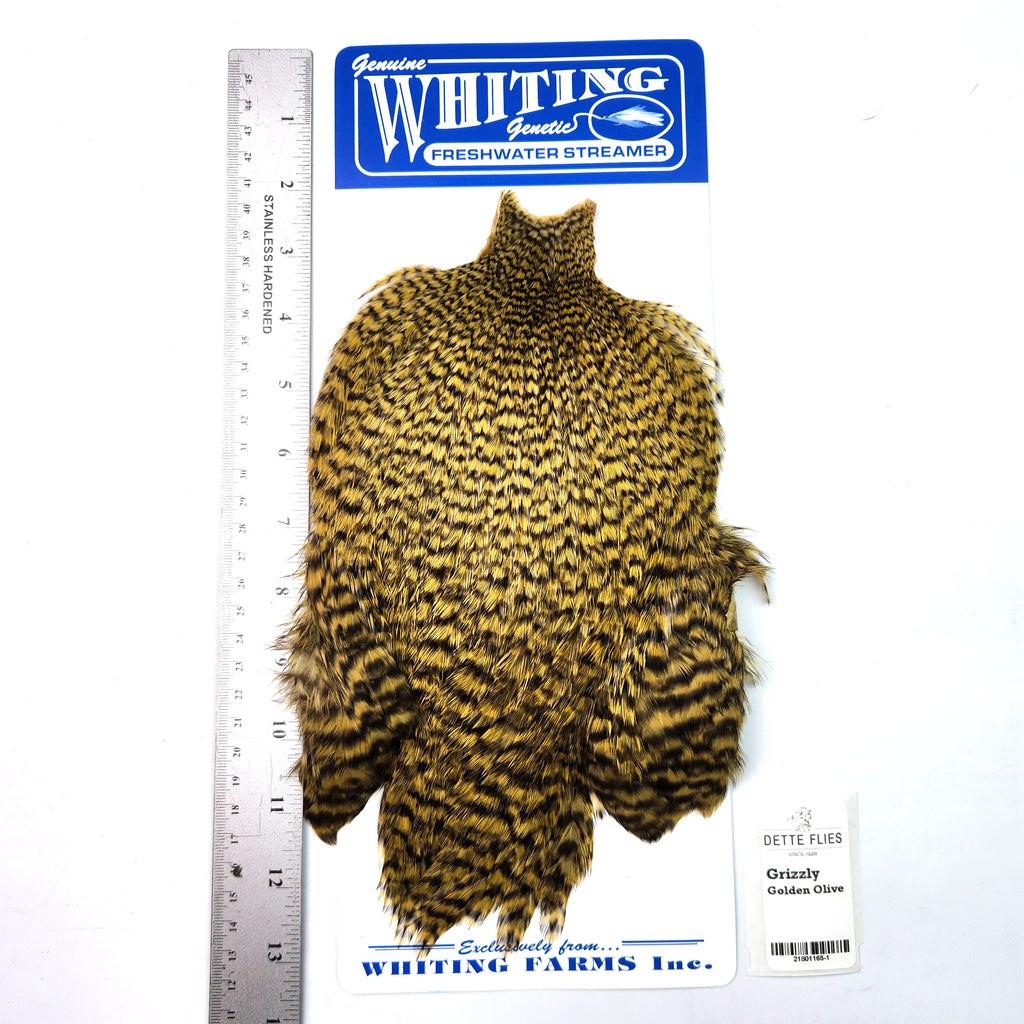 Grizzly dyed Golden Olive - Whiting Freshwater Streamer Rooster Cape ...
