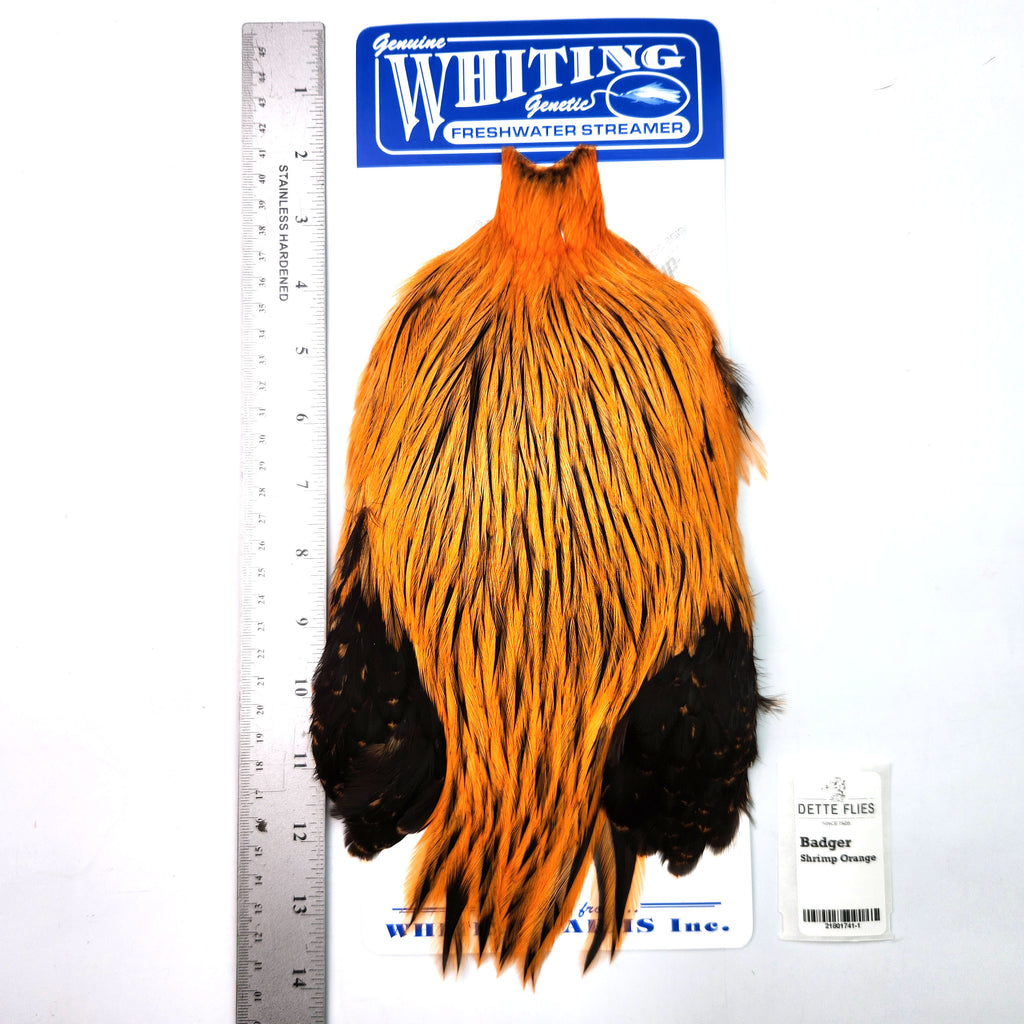 Badger dyed Shrimp Orange - Whiting Freshwater Streamer Rooster Cape ...