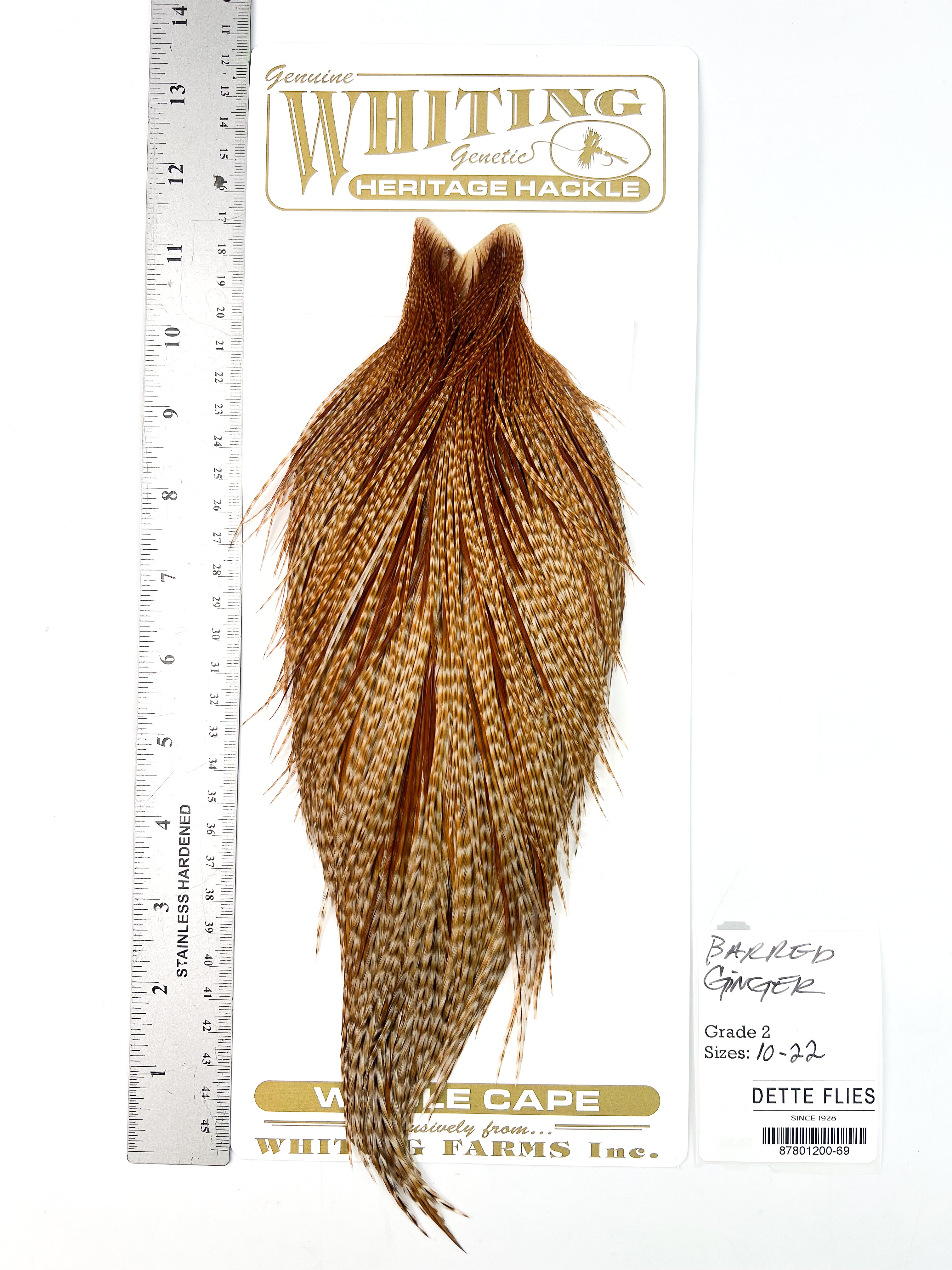 Barred Ginger - Whiting Heritage Hackle Rooster Cape - Grade 2 (#69 ...