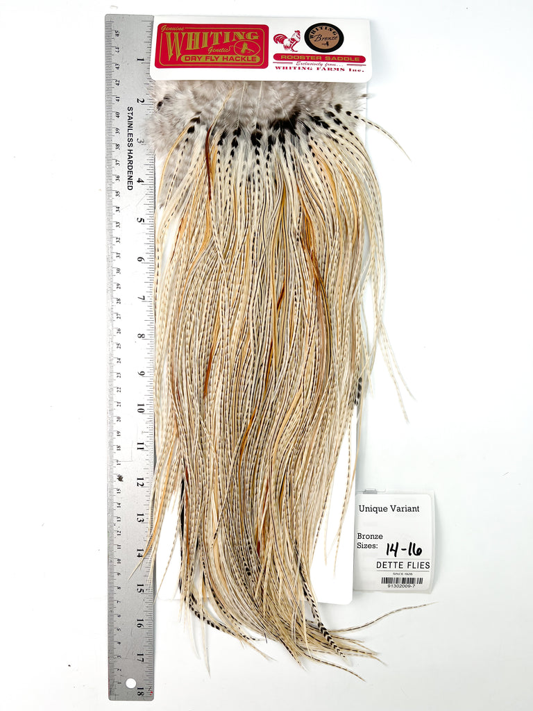 Unique Variant - Whiting Line Rooster Saddle - Bronze Grade (#7 ...