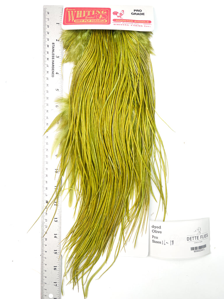 dyed Olive - Whiting Line Rooster Saddle - Pro Grade (#3) – Dette Flies