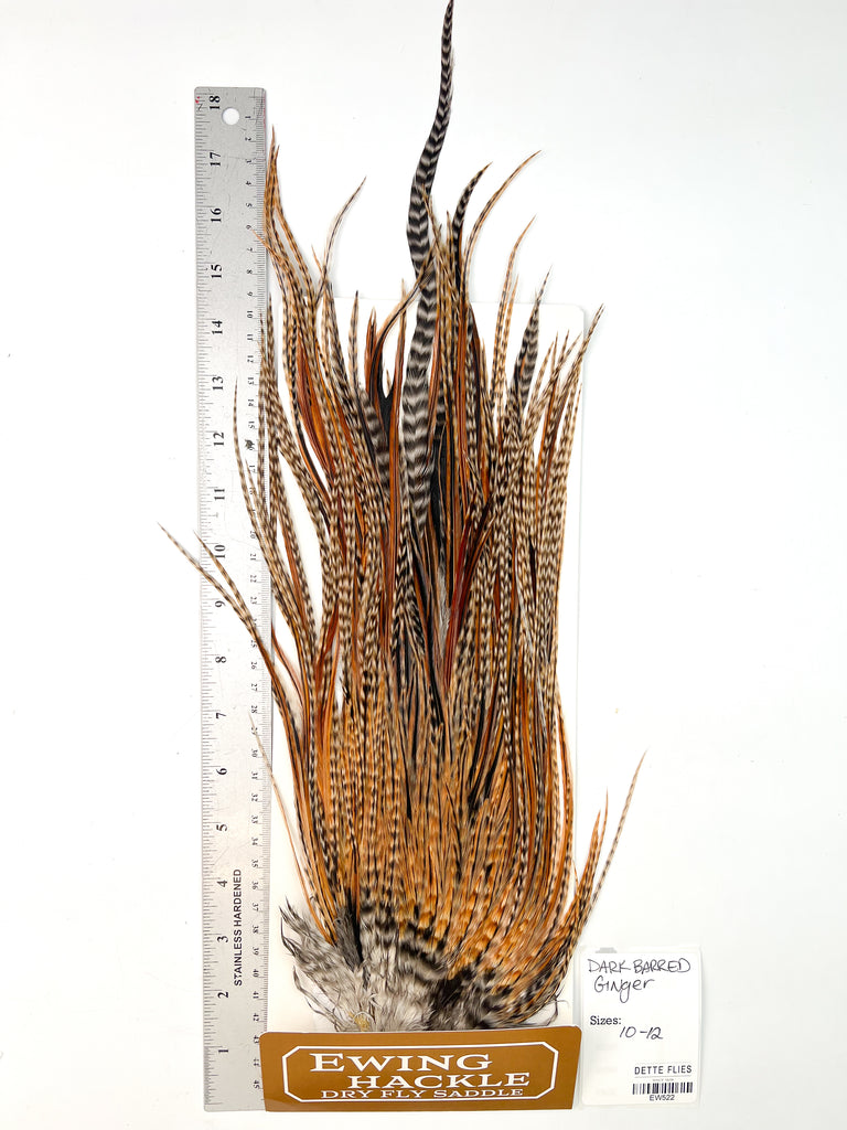 Dark Barred Ginger - Ewing Dry Fly Rooster Saddle (522) – Dette Flies