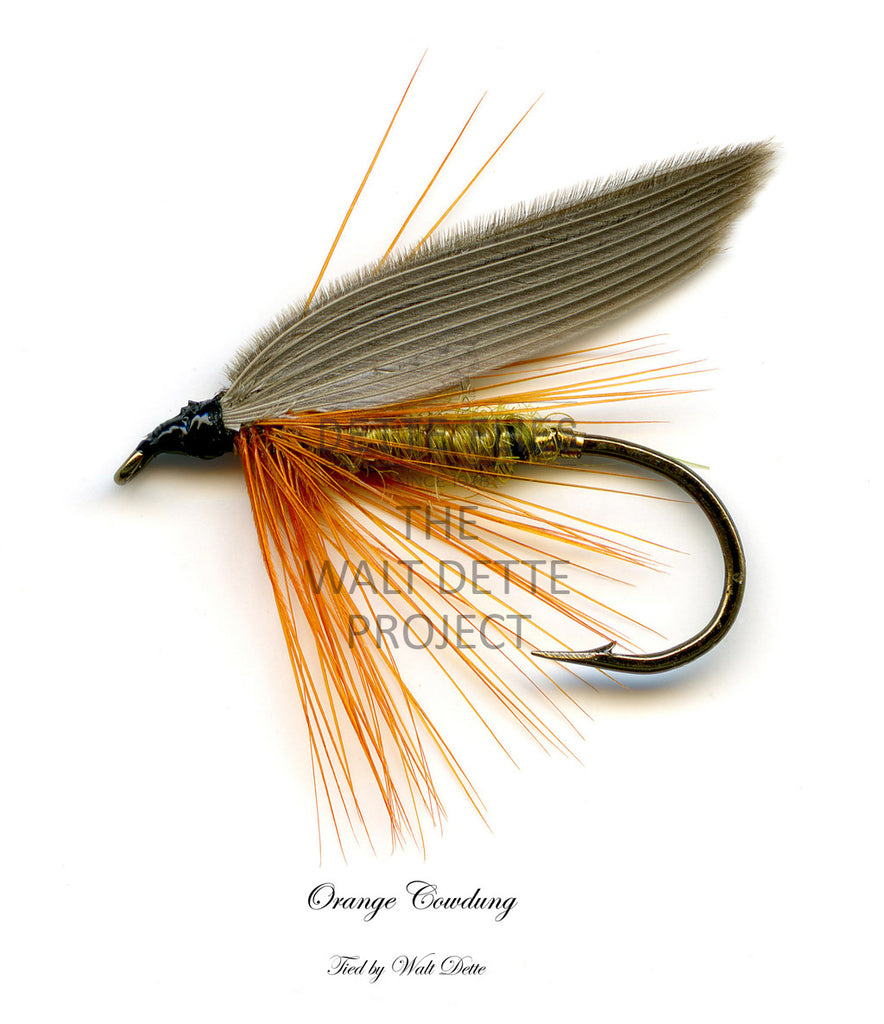 Walt Dette Project – Dette Flies