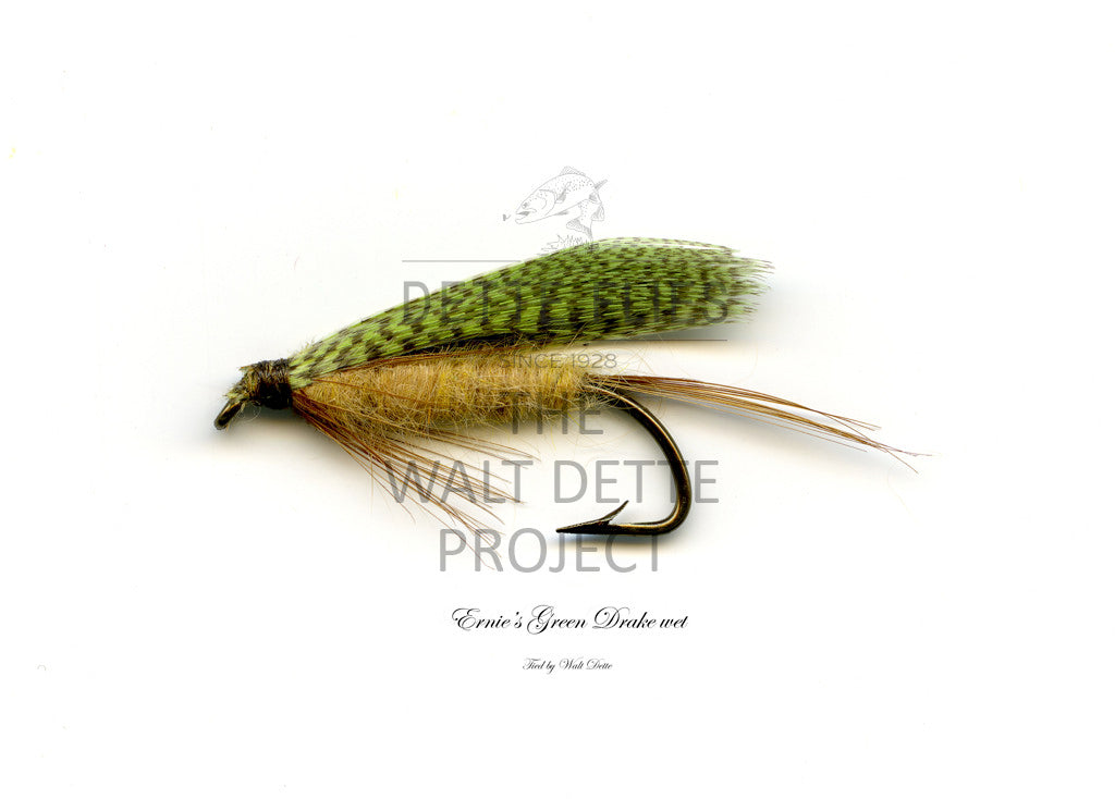 Walt Dette Project – Dette Flies