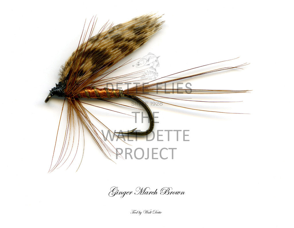 Walt Dette Project – Dette Flies