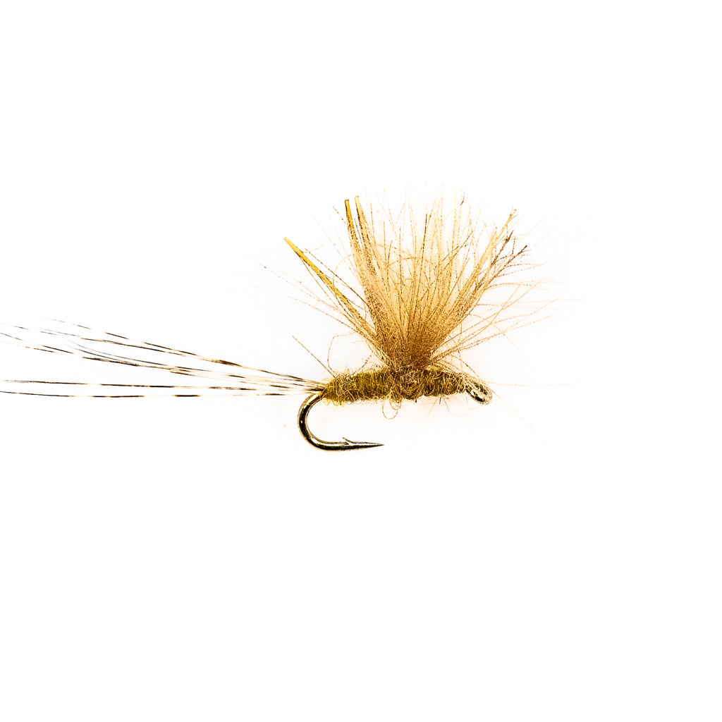 BWO CDC Comparadun – Dette Flies