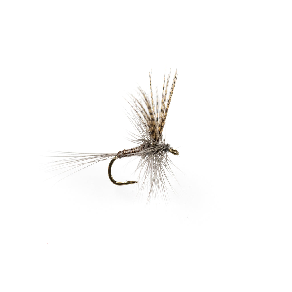 Red Quill Traditional – Dette Flies