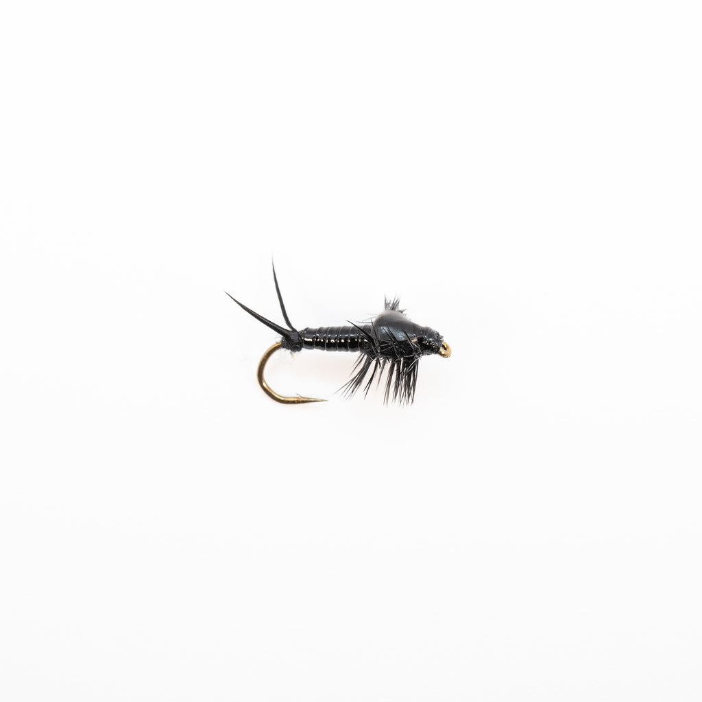 Black Stone Nymph – Dette Flies