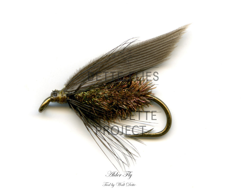 Walt Dette Project – Dette Flies