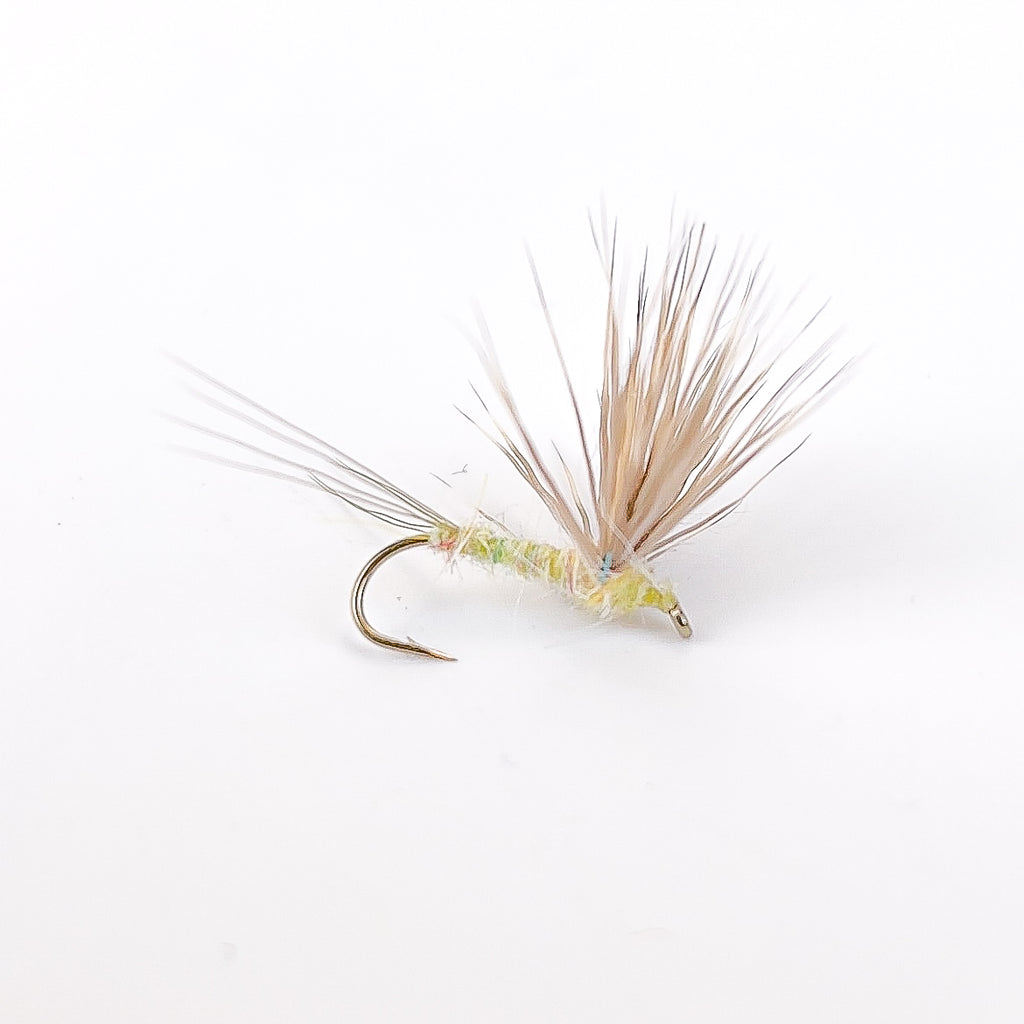 Quill Gordon Comparadun – Dette Flies