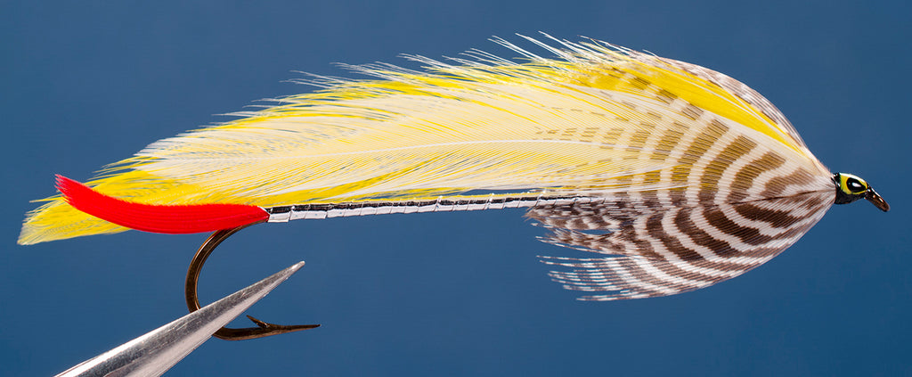 Colonel Bates 8XL – Dette Flies