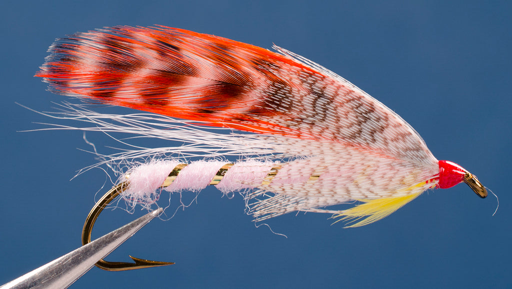 Pink Lady – Dette Flies